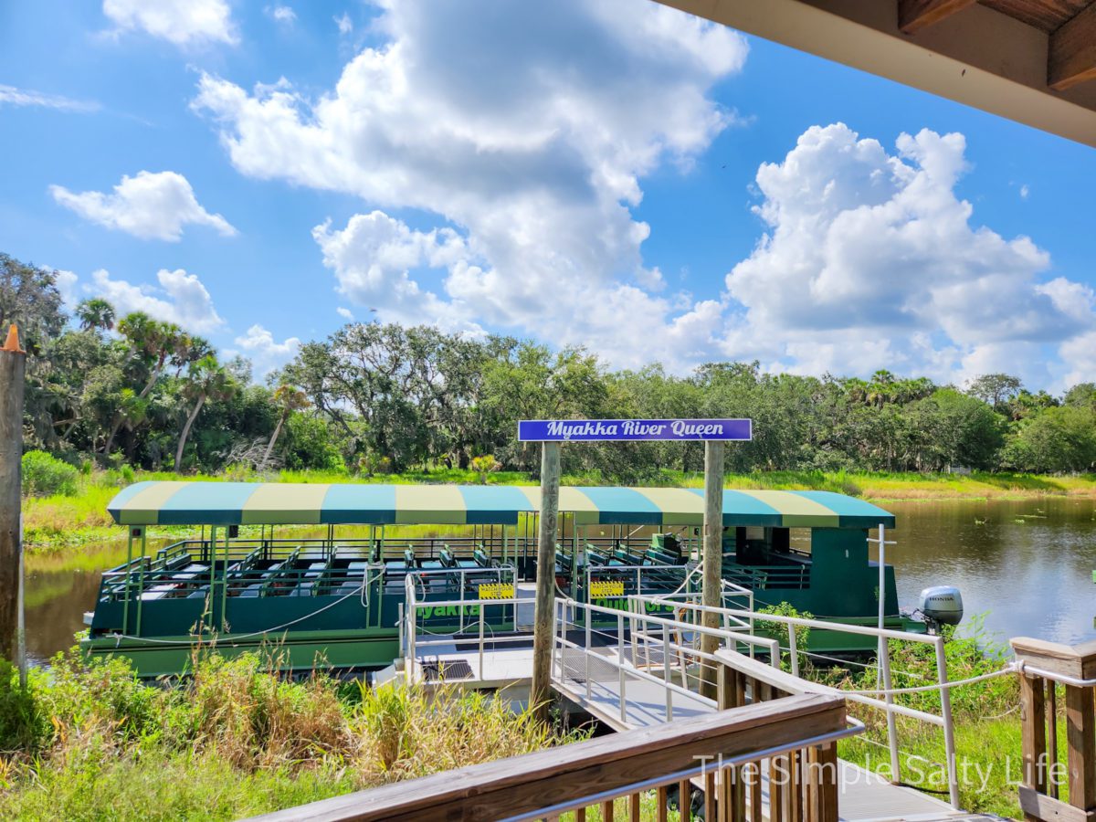 11 Things to Do in Myakka River State Park • Explore Florida • The ...