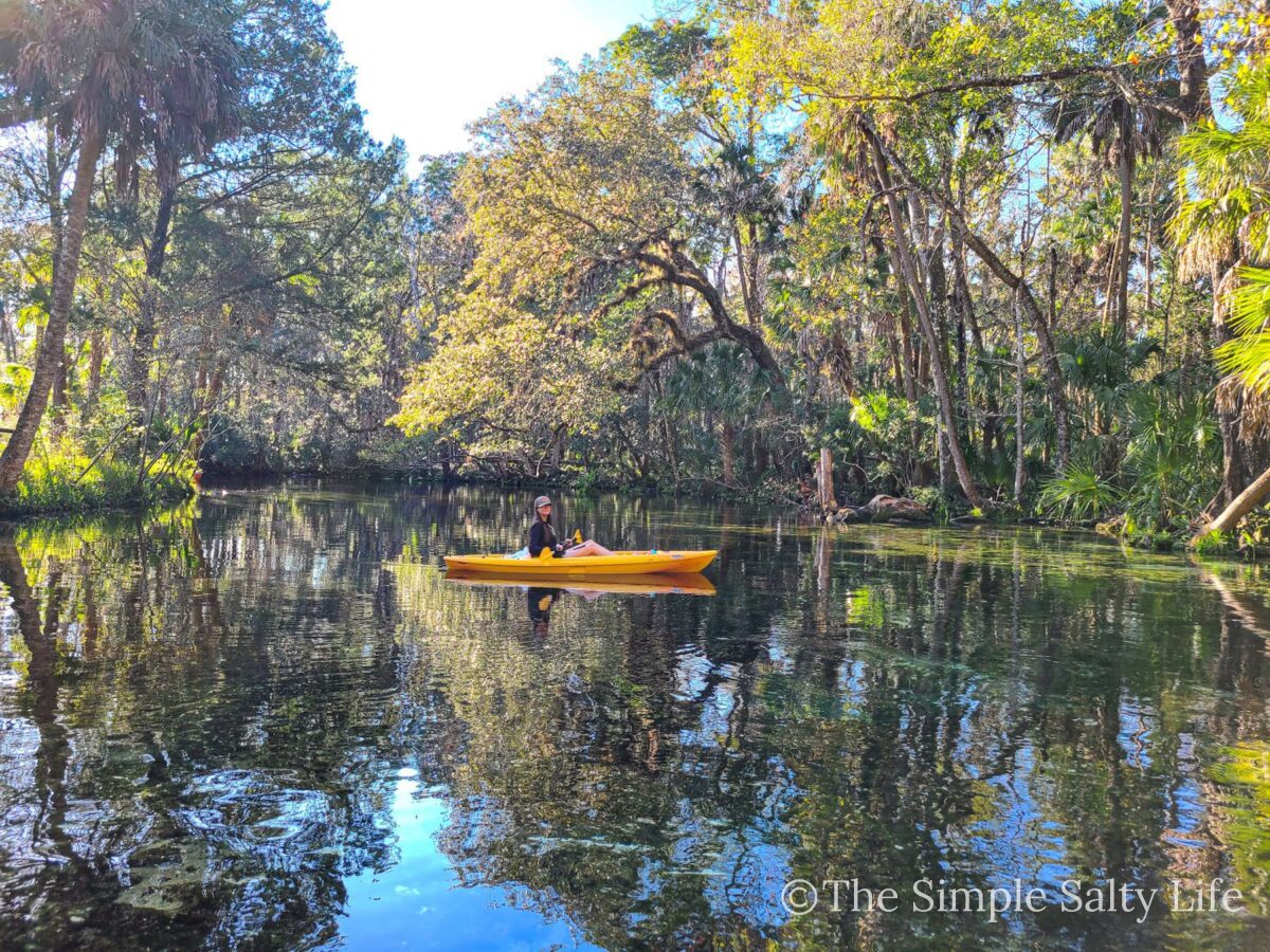 Top 5 Things to Do in Crystal River • Explore Florida • The Simple ...